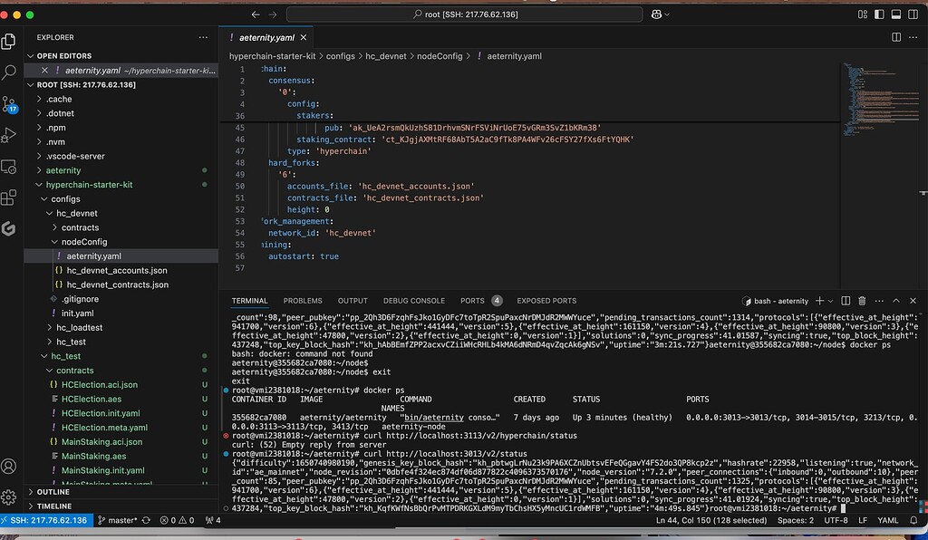 Deploying a Hyperchain with a docker based ae node - Hyperchains - æforum